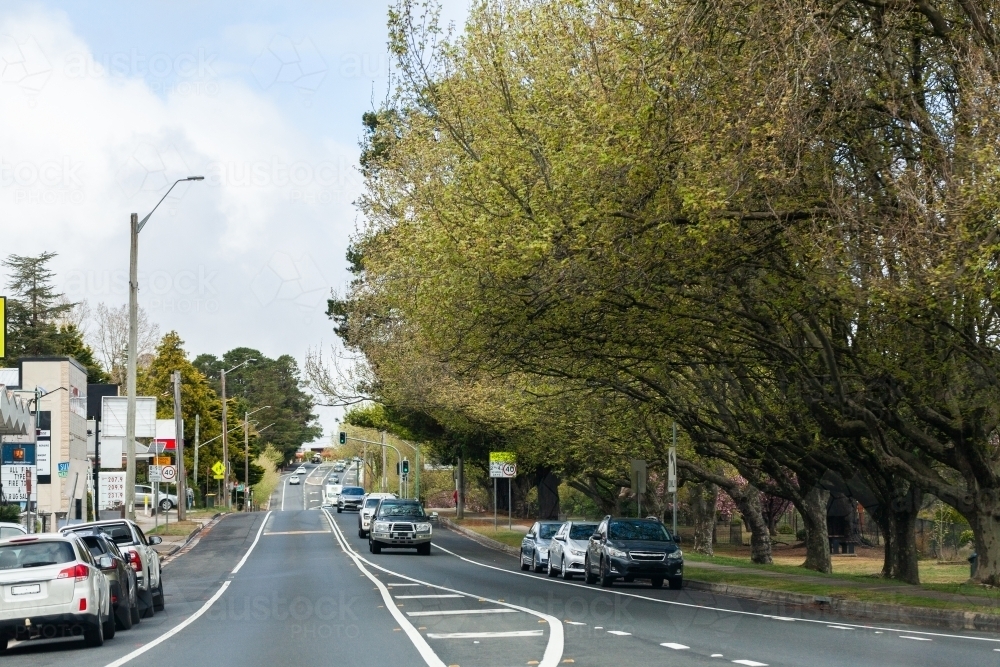 Image of Cars driving through town beside park in Blue mountains ...