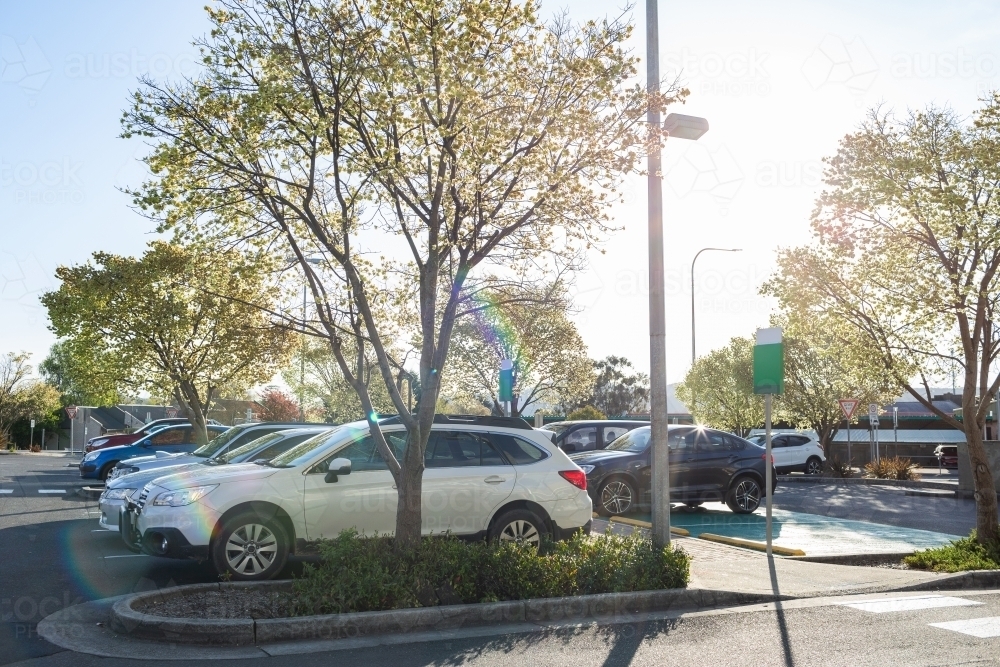 Image of Cars parked under springtime trees in shopping centre carpark ...