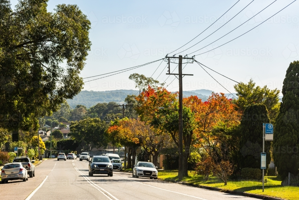 Image of Cars travelling down street in city suburb in autumn ...