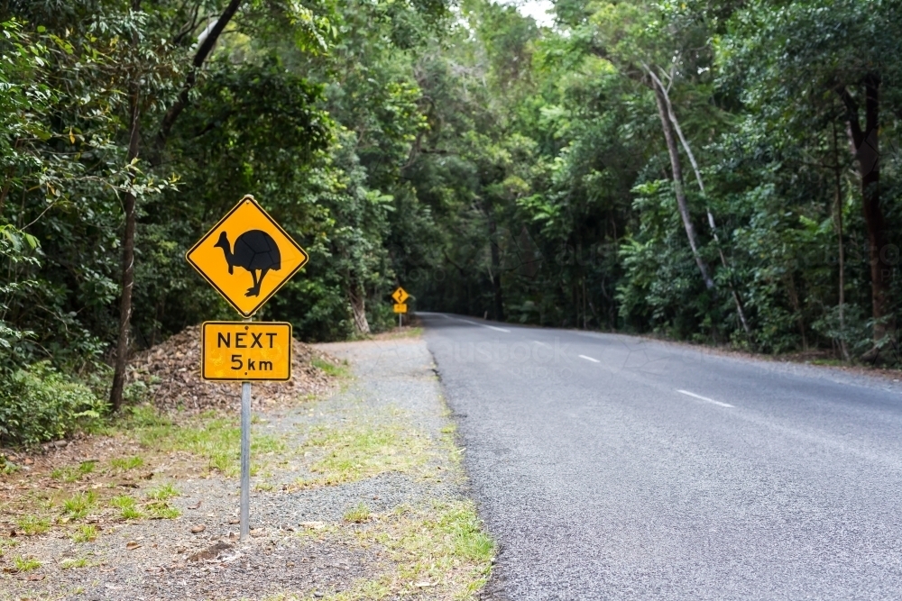 Image of Cassowary crossing sign in the Daintree Rainforest - Austockphoto