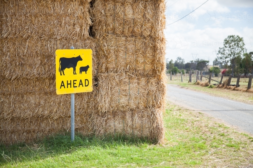 Image of Cattle and sheep livestock ahead sign on rural country road ...