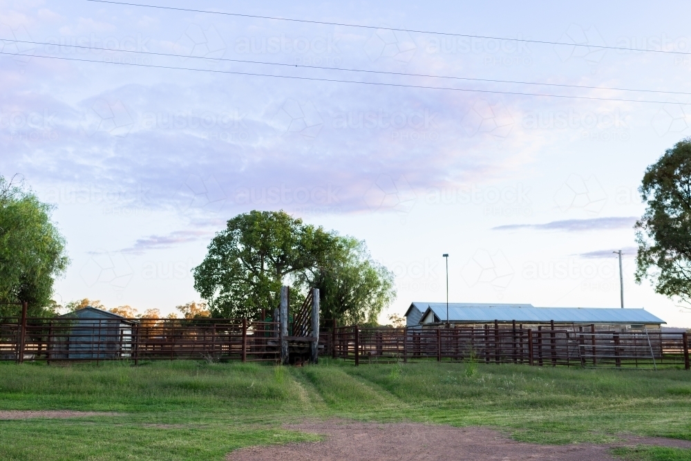 Image of Cattle chute and ramp in stockyard on australian farm at dusk ...