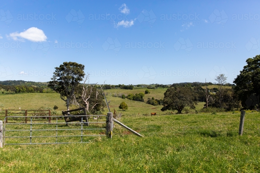 Image of cattle farm paddocks in South East Queensland - Austockphoto