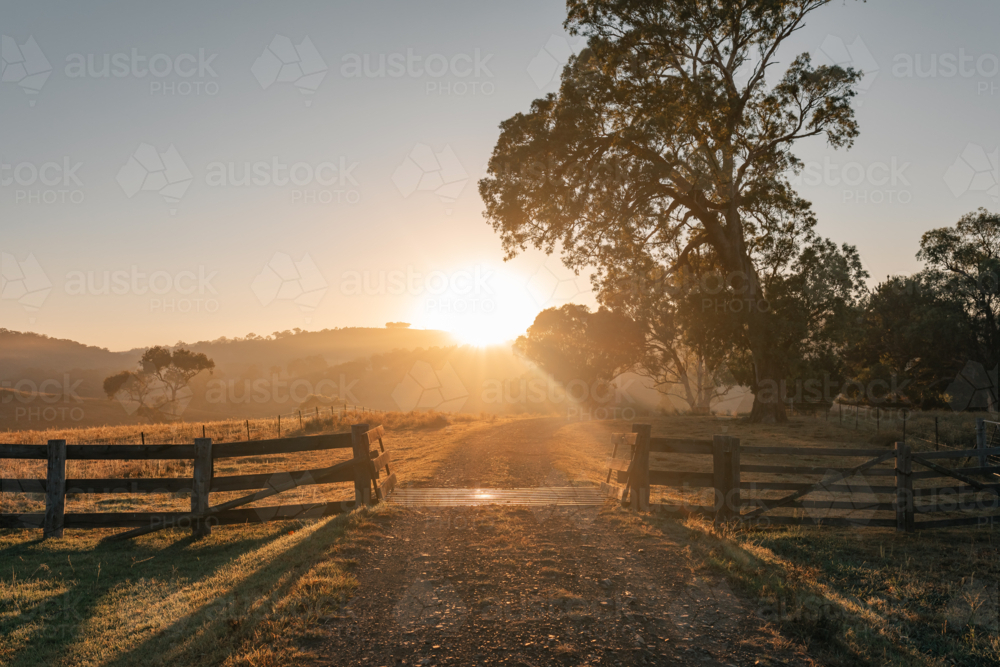 Image of Cattle grid along rural road on farm with sun rising over ...