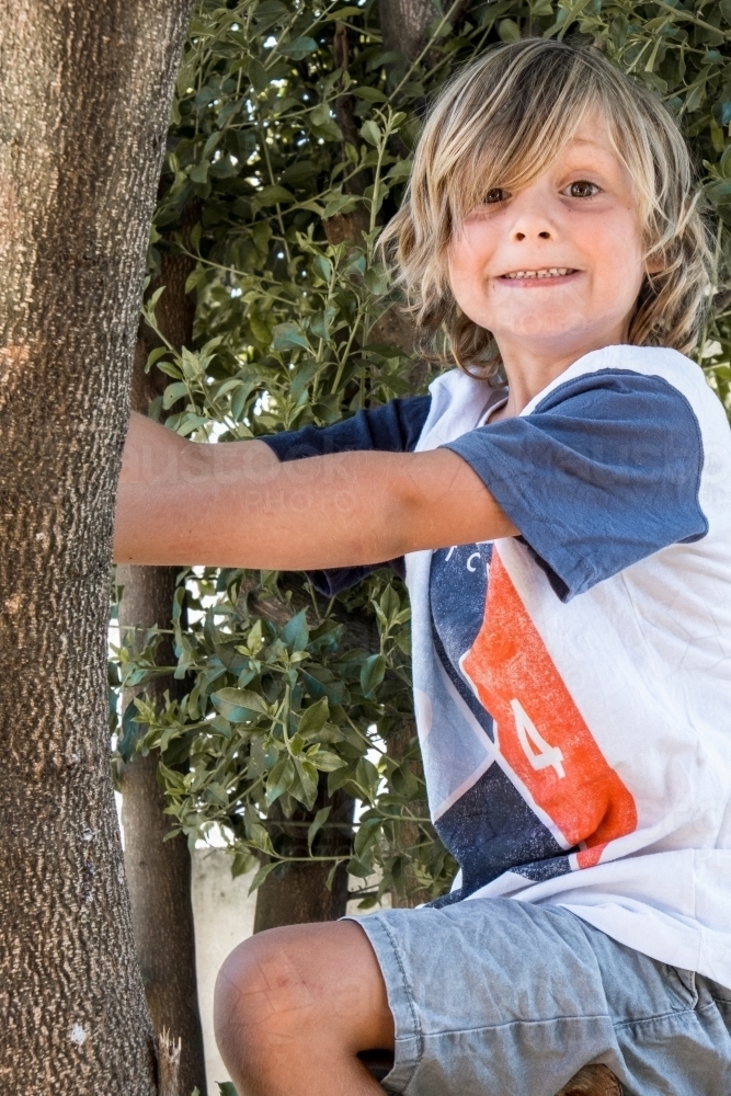 Image of Cheeky grin from little boy up a tree. - Austockphoto