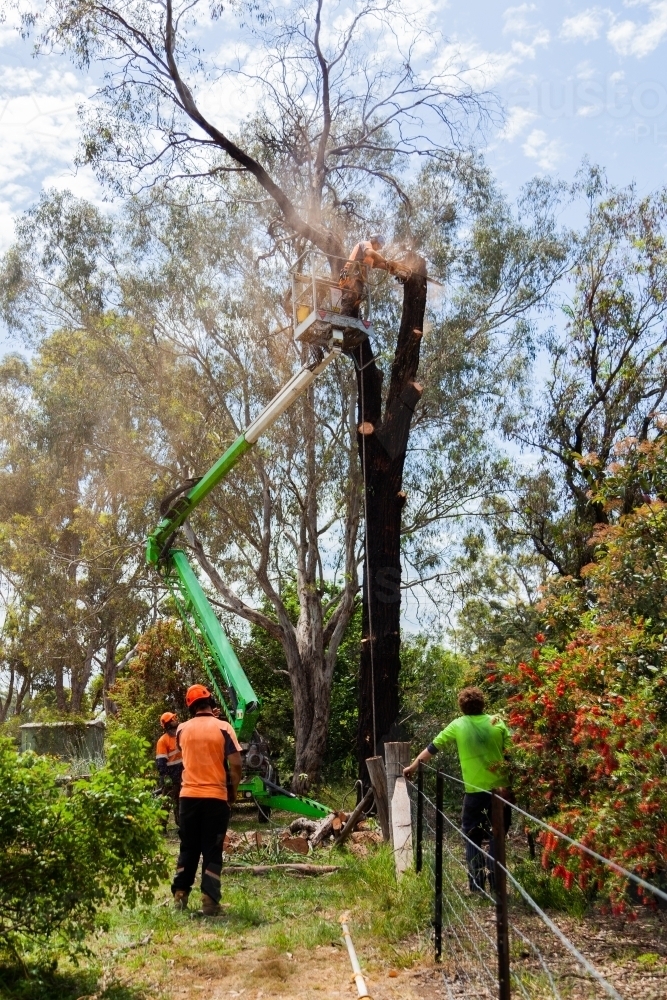 Image of Cherry picker in small space in garden with workers removing ...