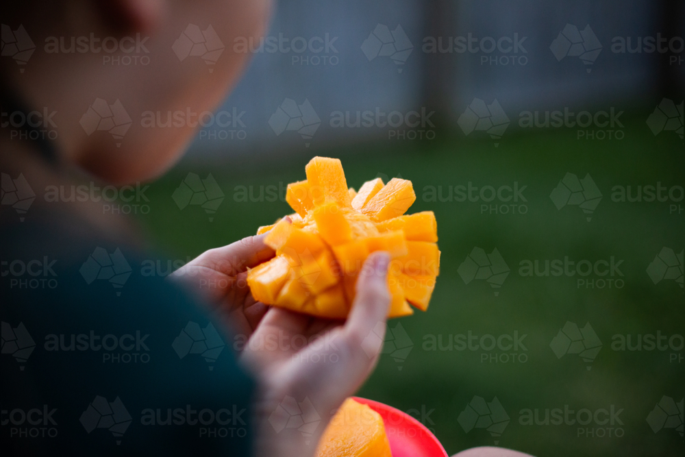 Image of child eating juicy fresh mango in the back yard - Austockphoto