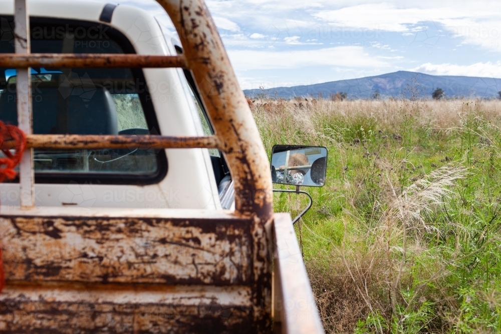 Image of Child on back of farm ute reflected in side mirror - Austockphoto