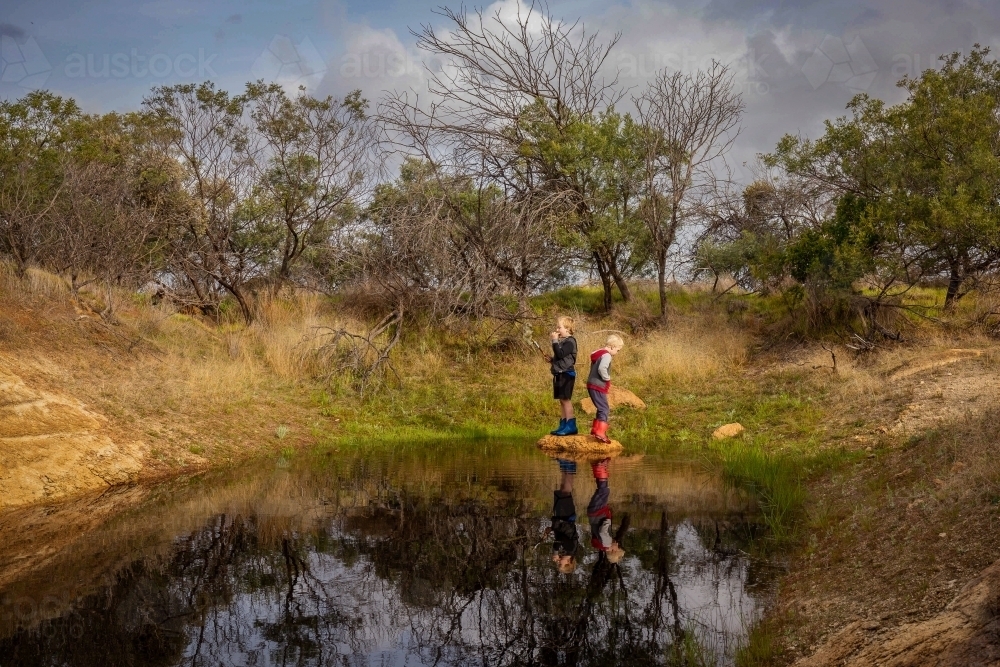 Image of Children using nets to catch tadpoles in dark freshwater hole ...