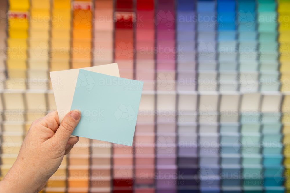 Image of choosing paint colour cards in a hardware store - Austockphoto