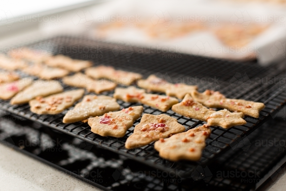 Image of christmas biscuits lined up on a cooling rack - Austockphoto