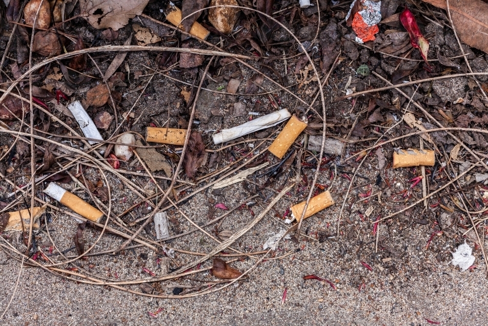 Image of cigarette butts and litter with dirt on side of street ...