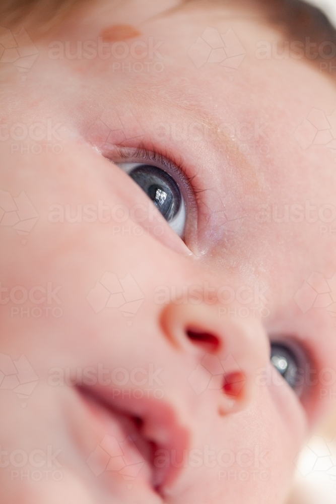Image of Close up detail of blue baby eye - Austockphoto