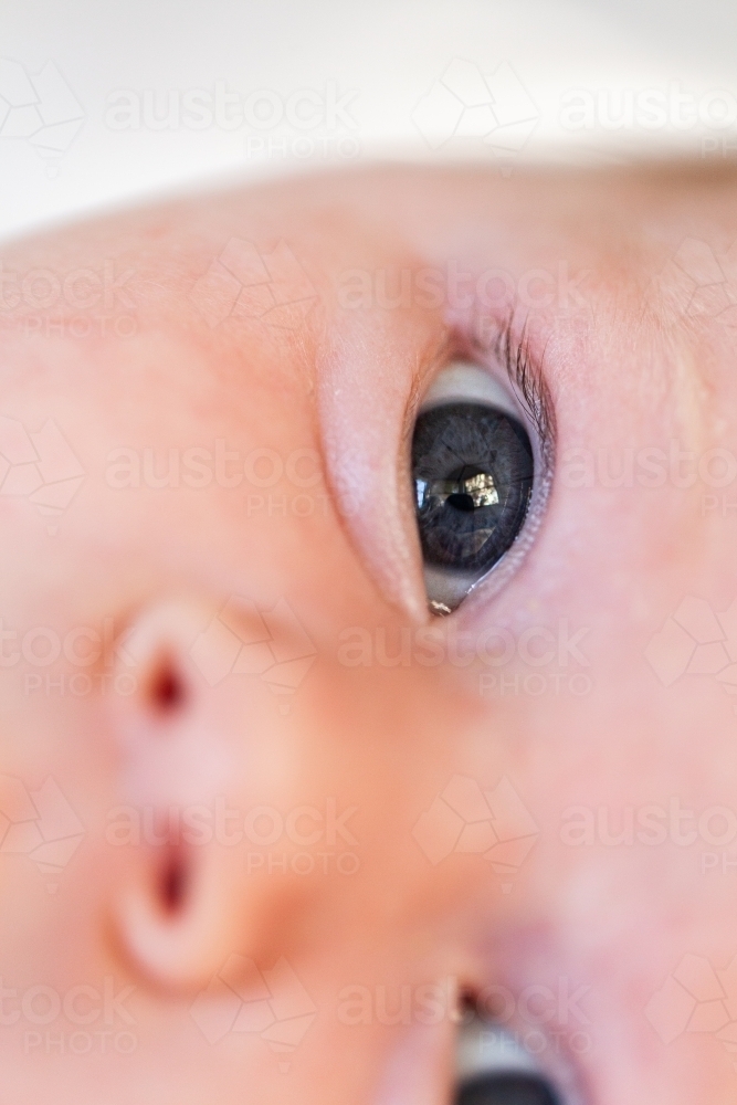 Image of Close up detail of blue baby eye - Austockphoto