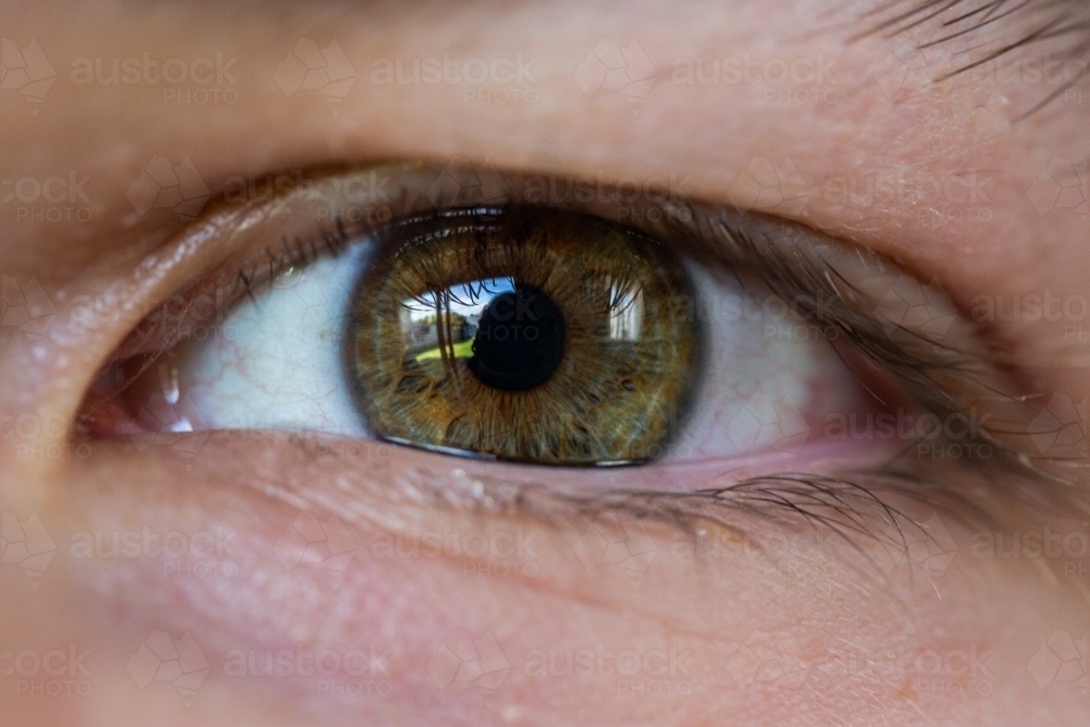 Image of Close up of human eye with hazel iris - Austockphoto