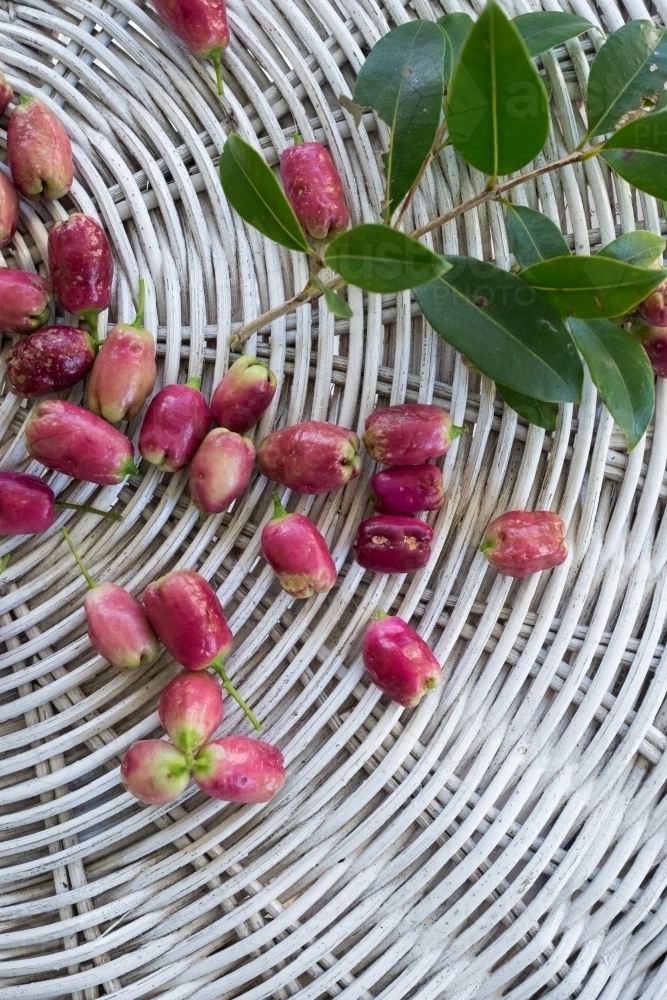 Image of Close up of Lilly Pilly berries on white rattan table ...