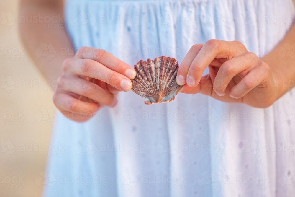 Image of Close up of little girl's hands holding shell close to dress ...