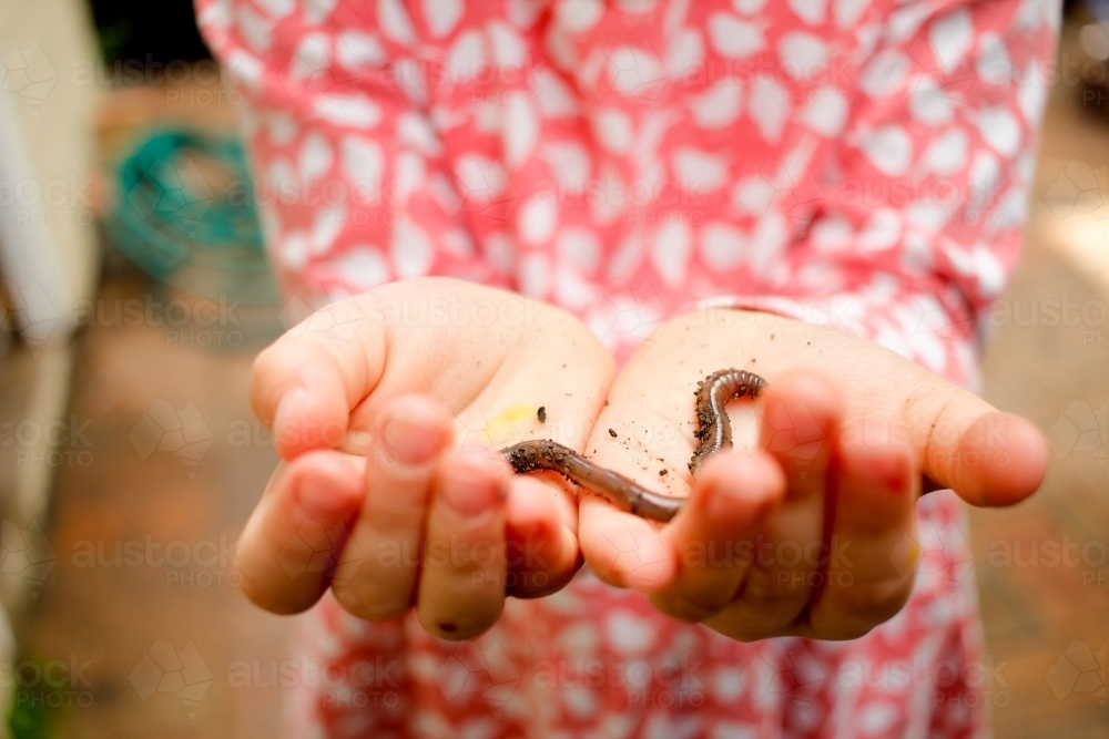 Image of Close up shot of a girl holding a brown worm with both hands ...