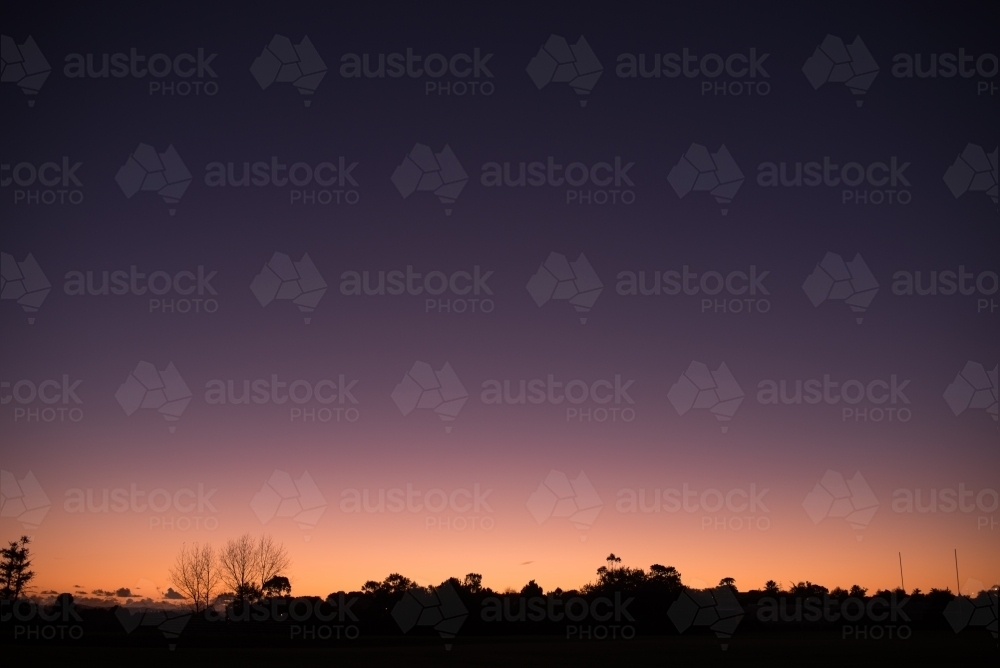 Image of Cloudless sunset with tree line - Austockphoto