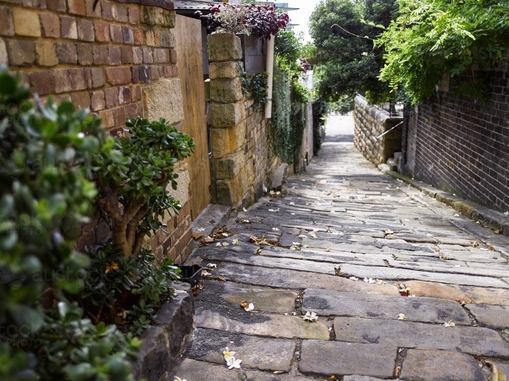 Image of Cobbled laneway in a city - Austockphoto