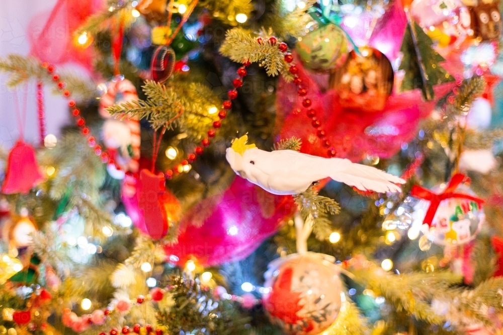 Image of cockatoo Christmas decoration on a Christmas tree - Austockphoto