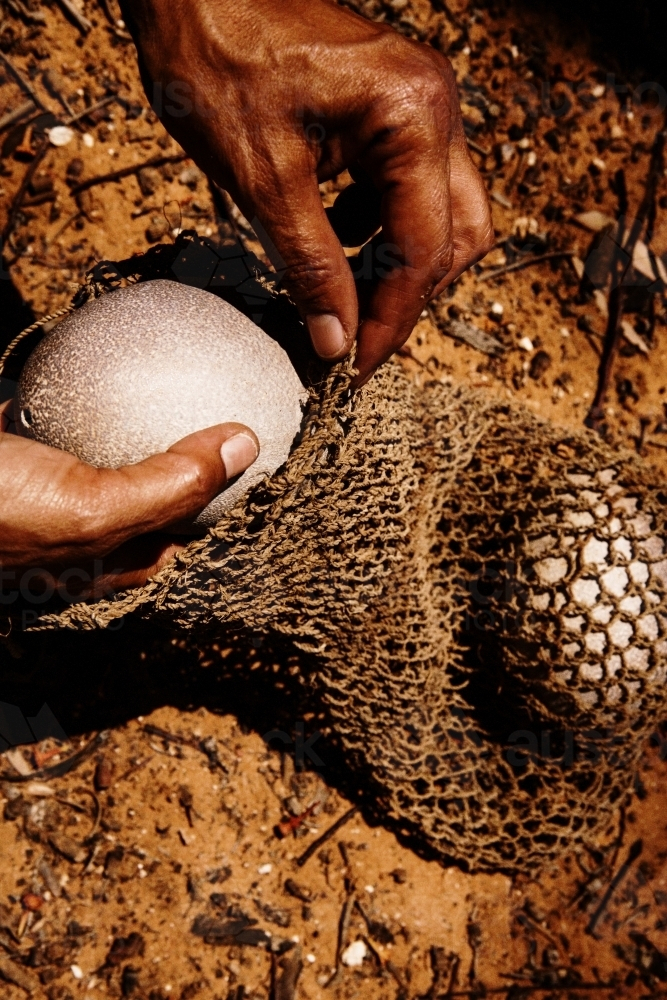 Image of Collecting emu eggs in aboriginal weave bag - Austockphoto