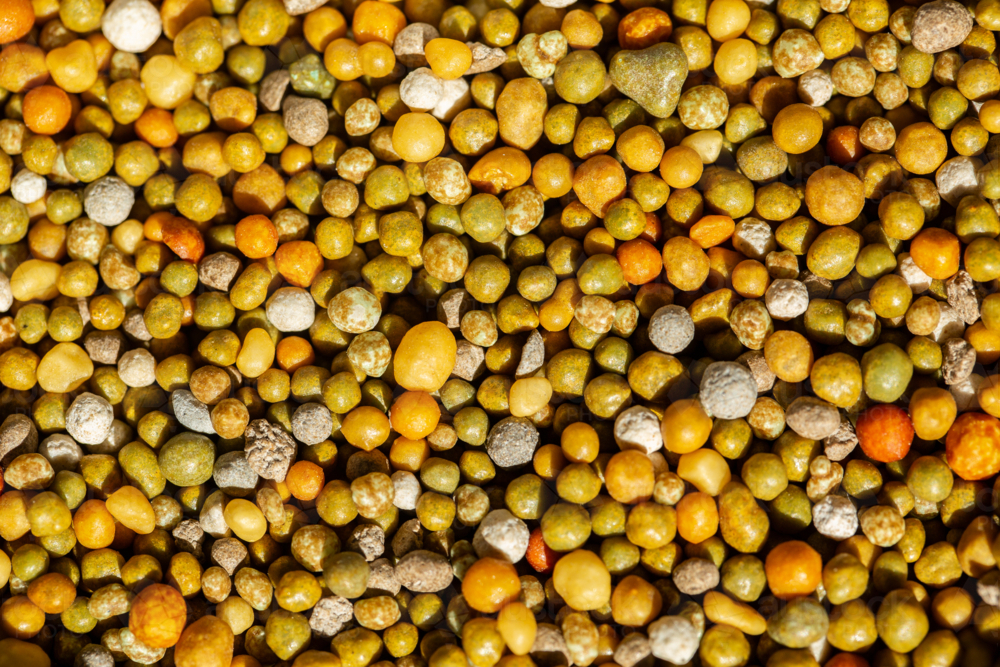 Image of colourful granules of fertiliser together to put in indoor pot ...