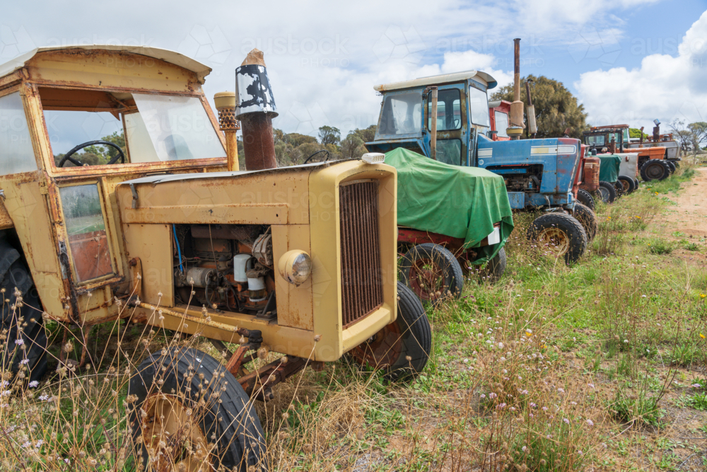 Image of Colourful old tractors parked in a line - Austockphoto