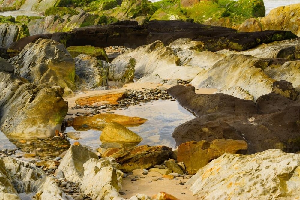 Image of Colourful rocks and corals around a rock pool - Austockphoto