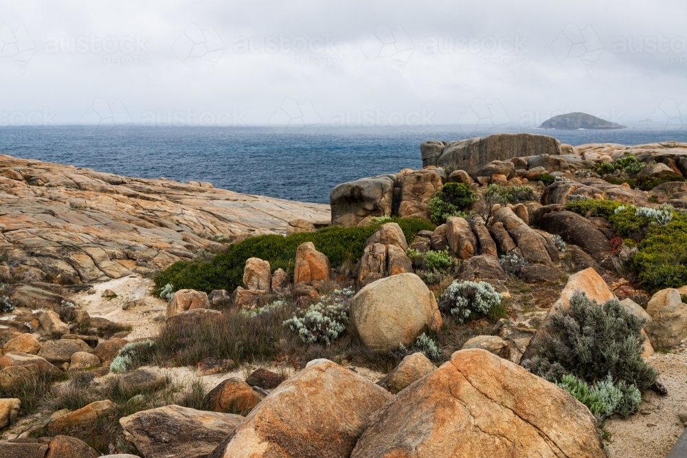 Image of Colourful rocky foreshore with wildflowers under a stormy sky ...