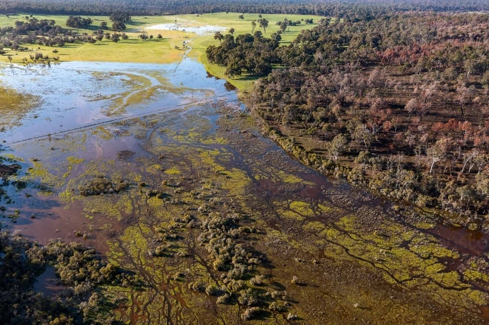 Image of colours of wetland and bush with water reflecting the sky ...
