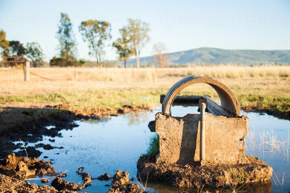 Image of Concrete bore water trough on farm with puddle around it ...