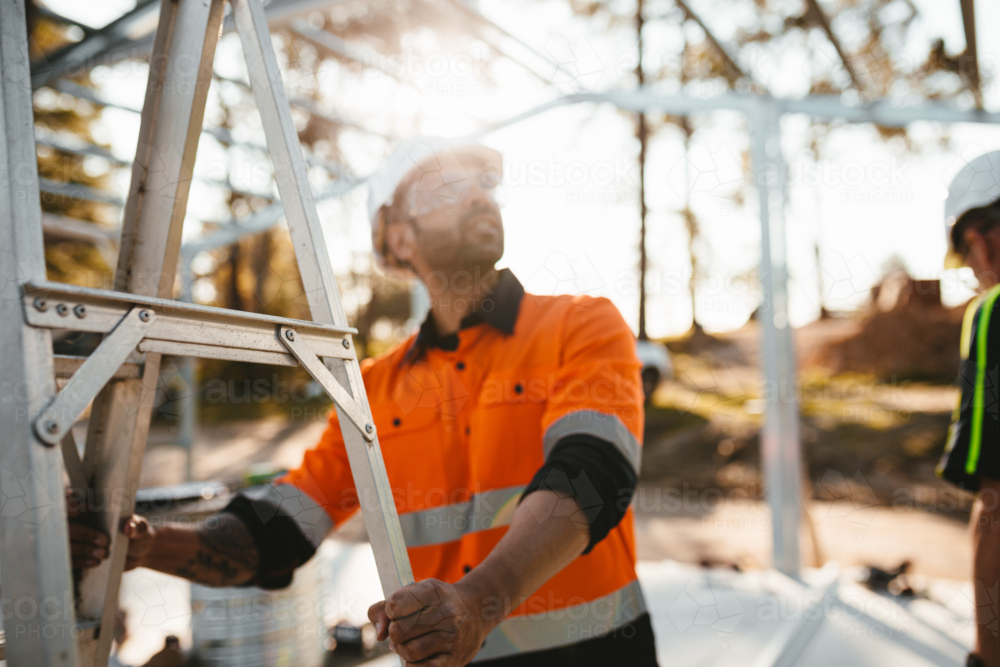 Image of Construction worker holding a steel ladder while looking up ...