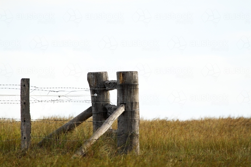 Image of Corner strainer fence post and barbed wire fence. - Austockphoto