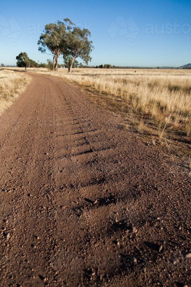Image of Corrugated gravel and dirt road driveway on farm - Austockphoto
