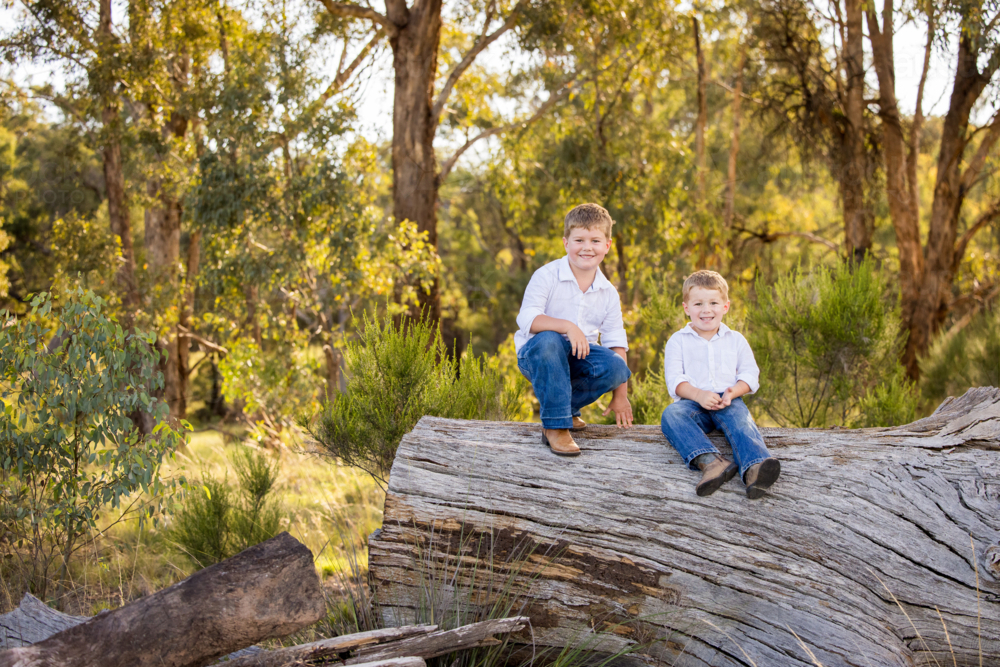 Image of Country brothers sitting together on log on farm - Austockphoto