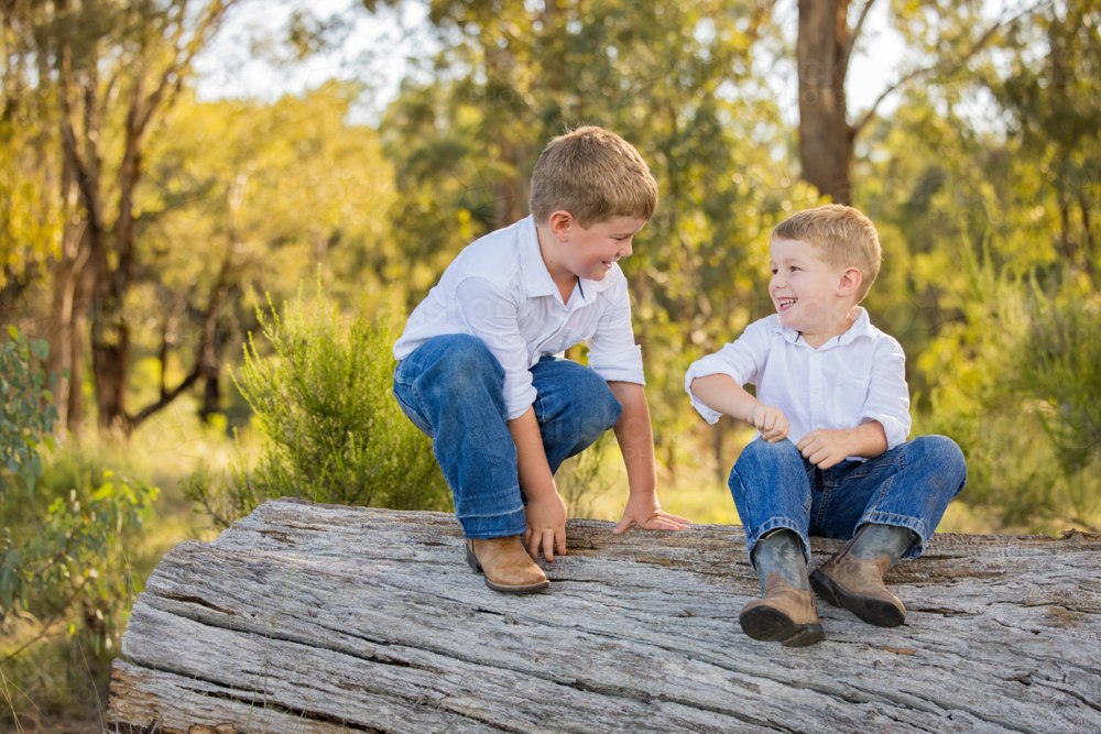 Image of Country brothers sitting together on log on farm - Austockphoto