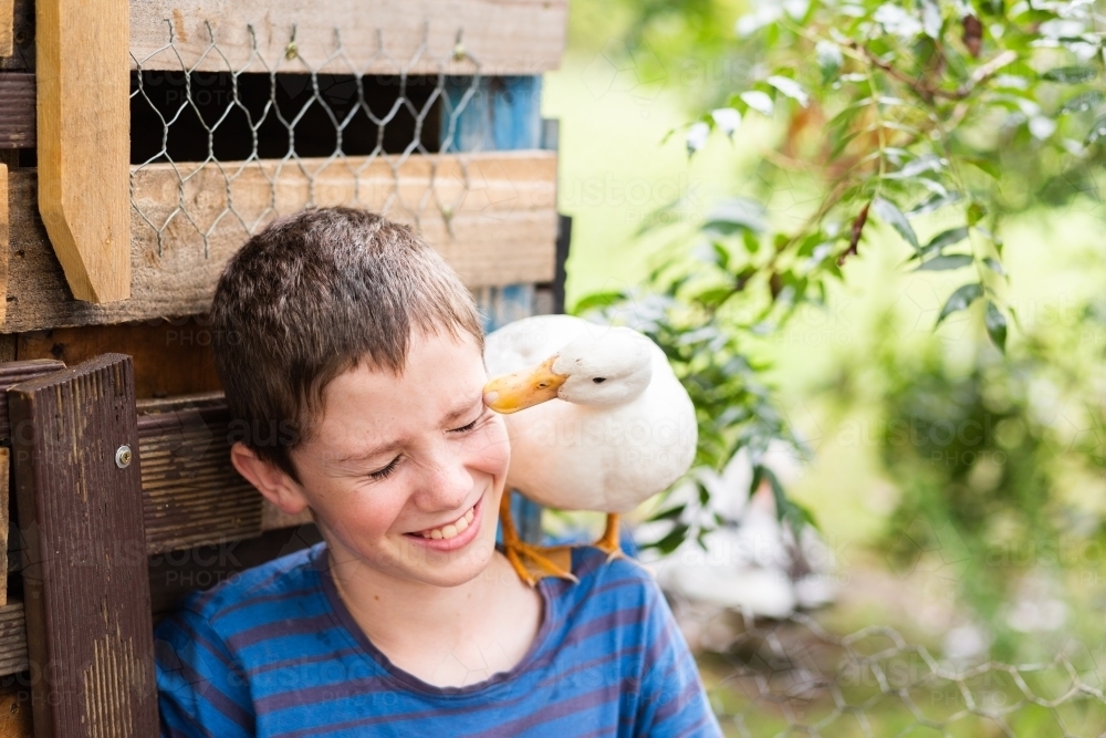Image of Country kid with his friendly pet duck on his shoulder ...