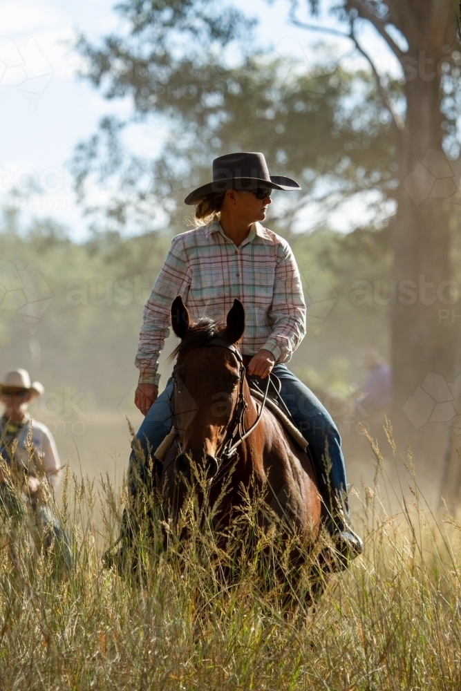 Image of Country lady mustering on horse in tall grass. - Austockphoto