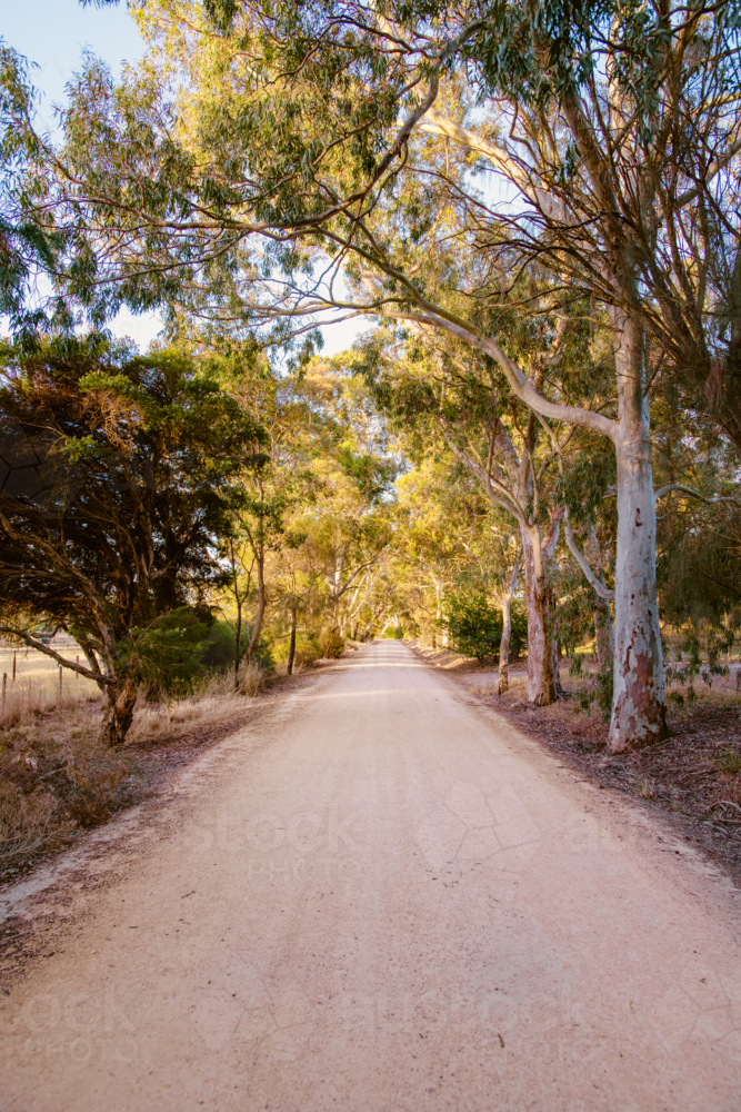 Image of country road - Austockphoto