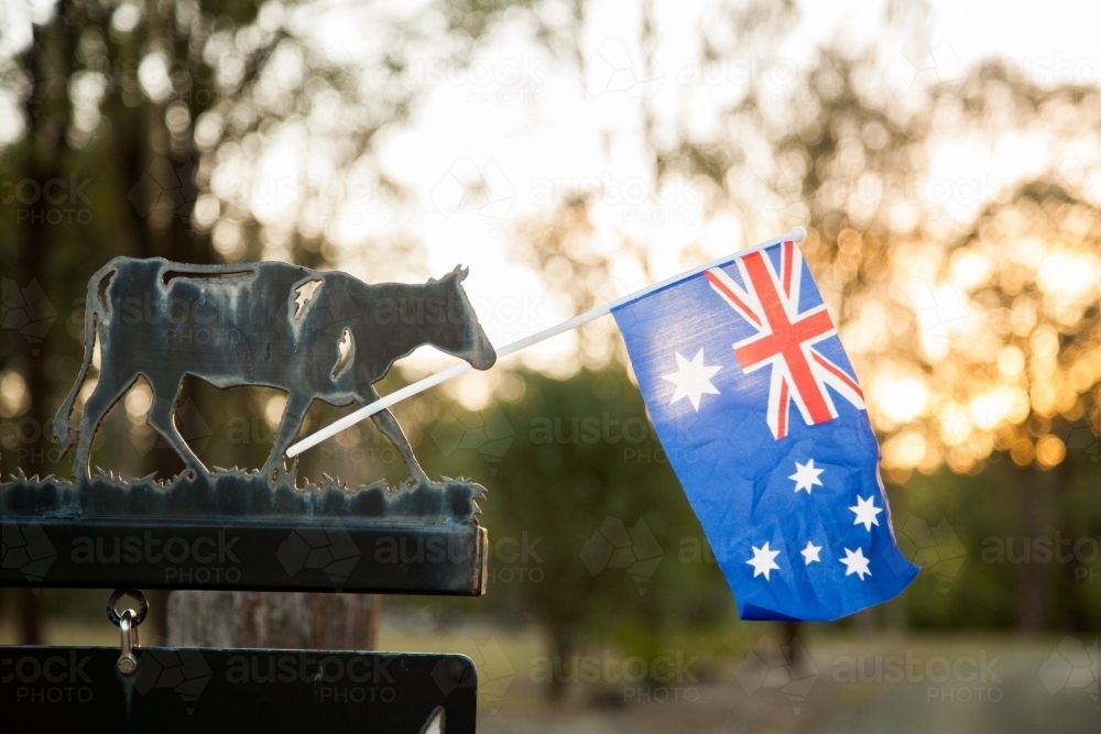 Image of Cow sign beside driveway holding australian flag - Austockphoto