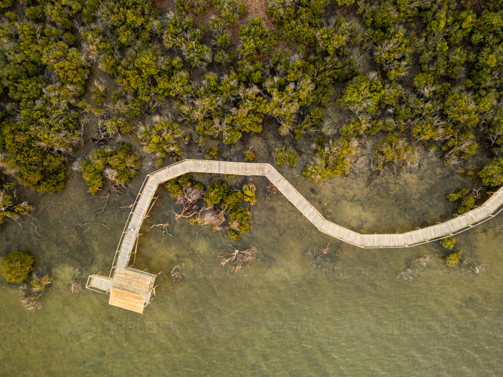 Image of Cowell mangrove boardwalk from above air - Austockphoto