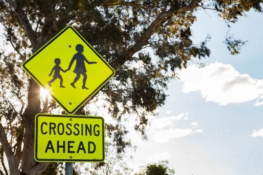 Image of Crossing ahead sign in school zone with gum trees and sun flare - Austockphoto