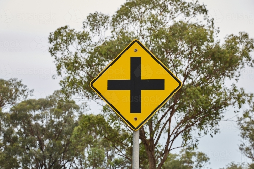 Image of Crossroads sign on road with eucalyptus forest - Austockphoto
