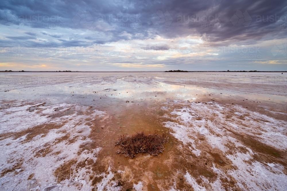 Image of Crusty salt patterns on a dry lake bed under a gloomy sky ...