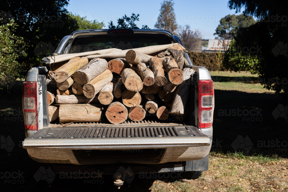 Image of Cut firewood on the back of a ute getting prepared for winter ...