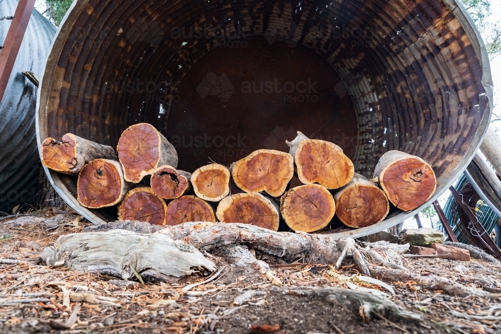 Image of Cut wooden logs stacked in an old galvanized iron water tank ...