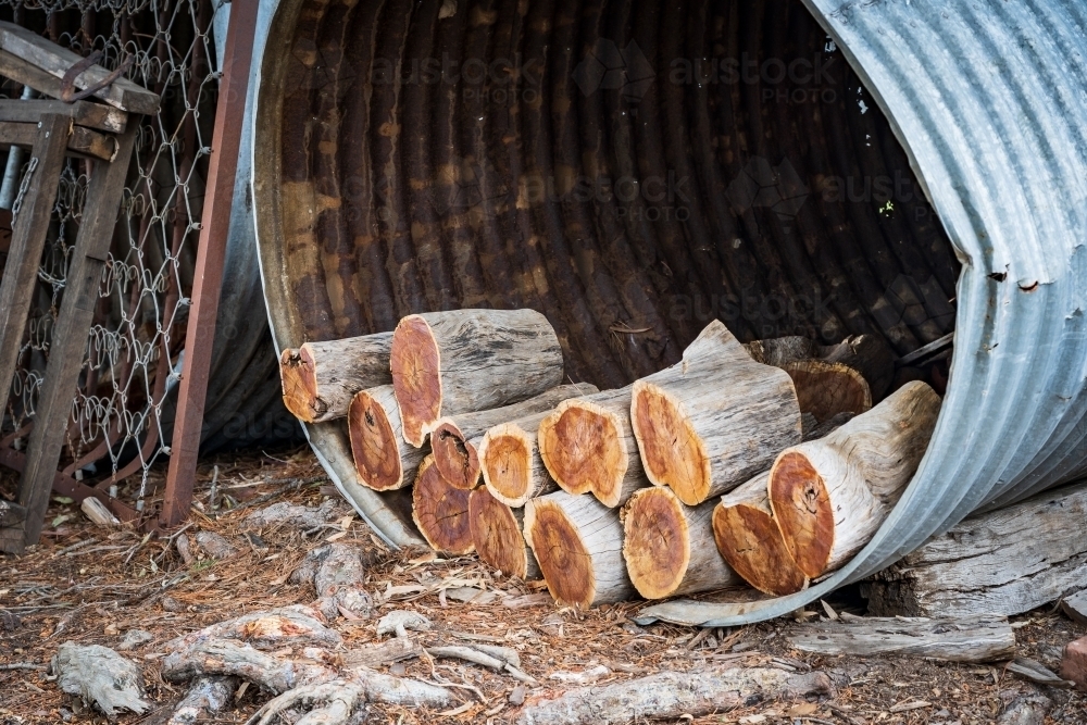 Image of Cut wooden logs stacked in an old galvanized iron water tank ...
