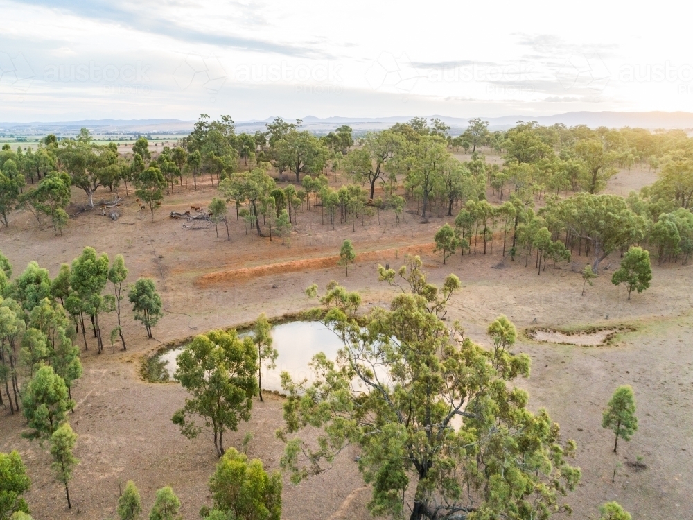 Image of Dam and trees in dry bare paddock - Austockphoto