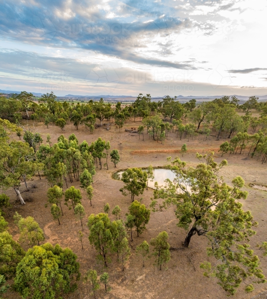 Image of Dam and trees in dry bare paddock - Austockphoto